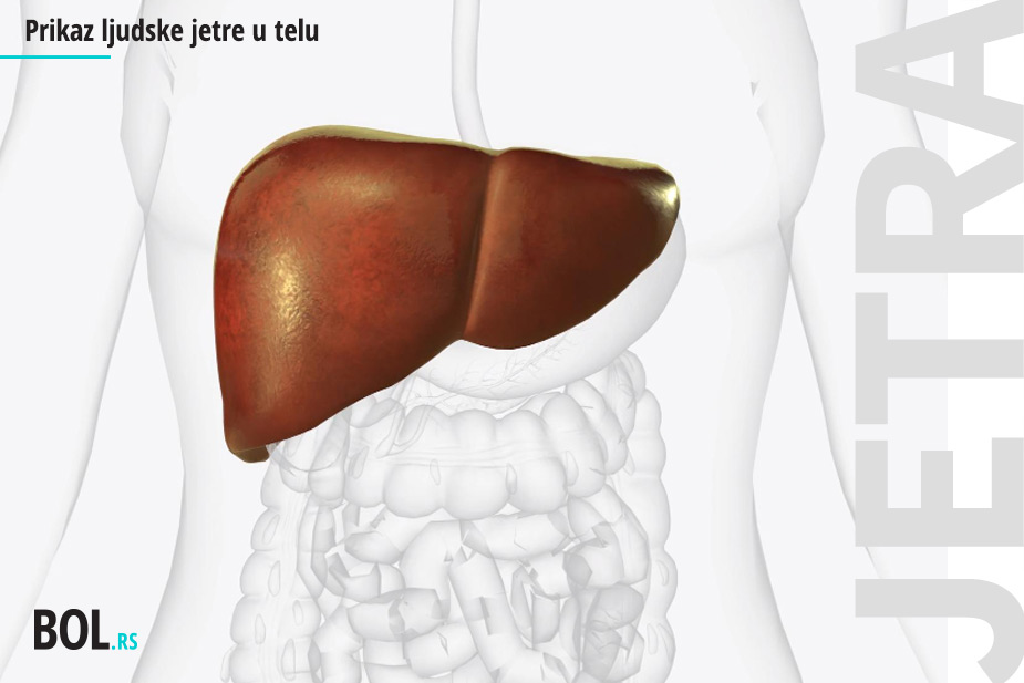 Hepatitis: Uzroci, Simptomi i Tretmani | Bol.rs